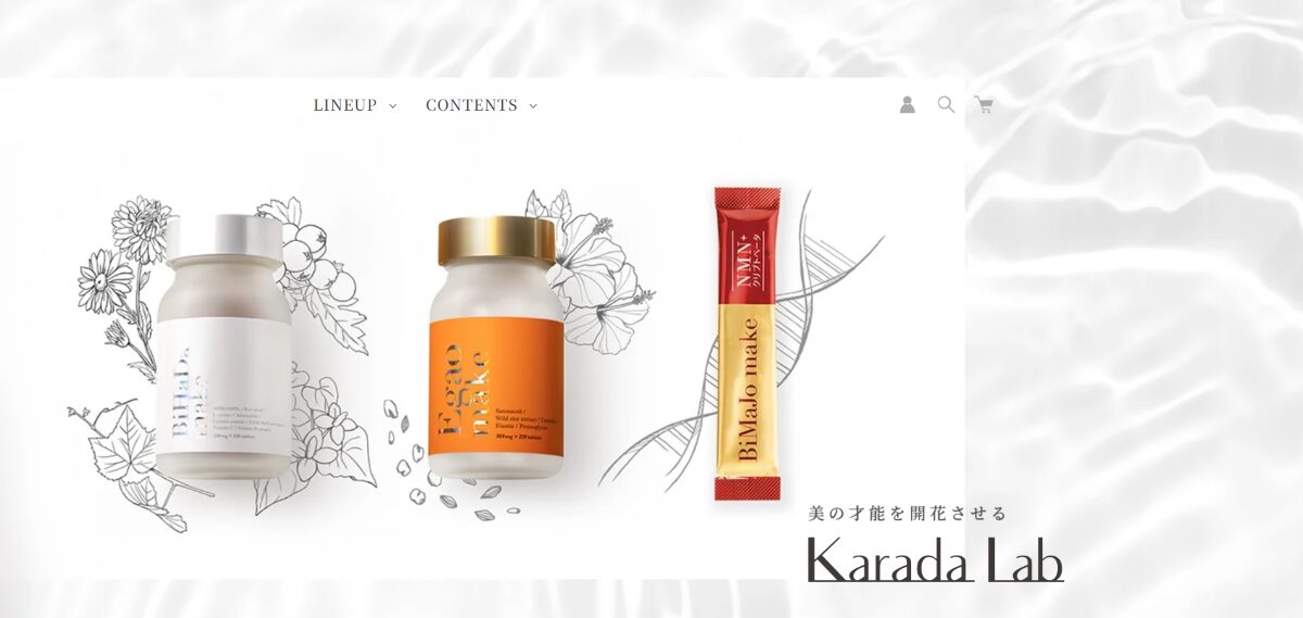 ECサイトの種類一覧【2024年版】構築方法別の費用相場や事例も紹介｜Web制作なら東京・京都のJPC